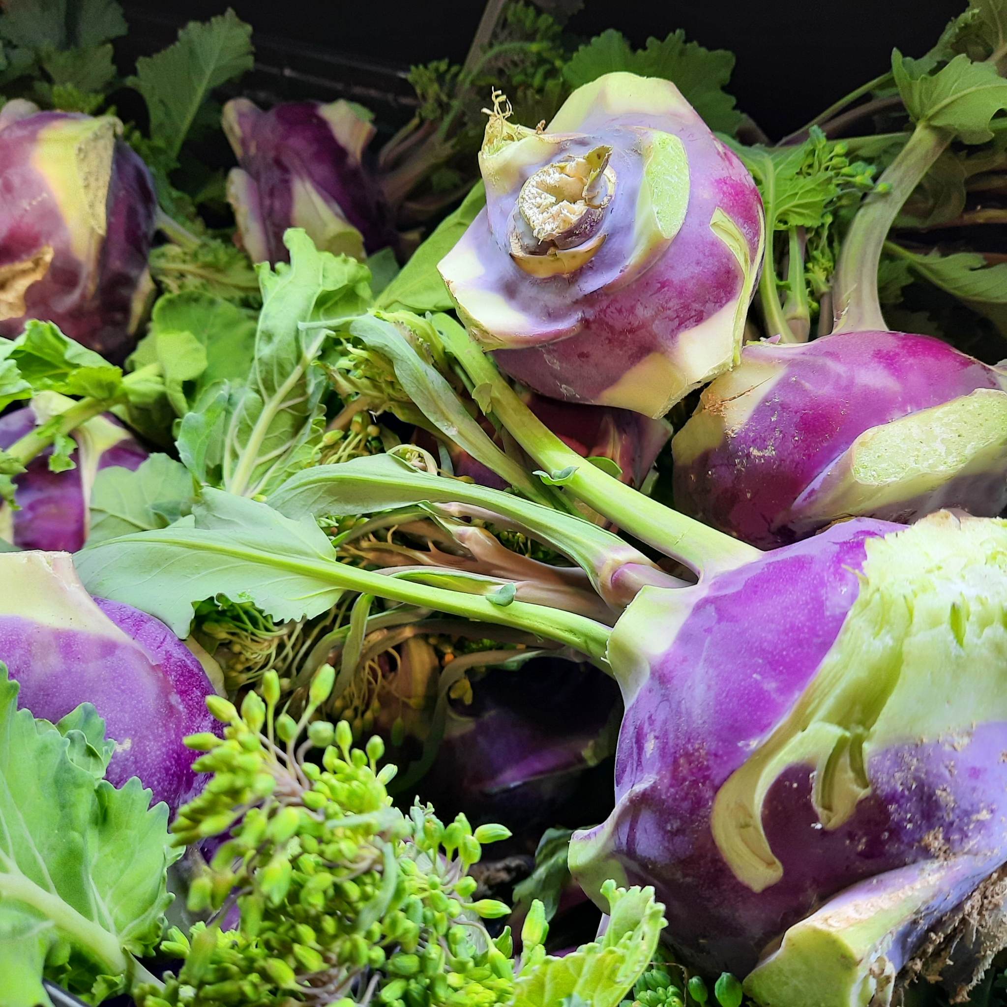 Arkadia Foodstore - Turnips