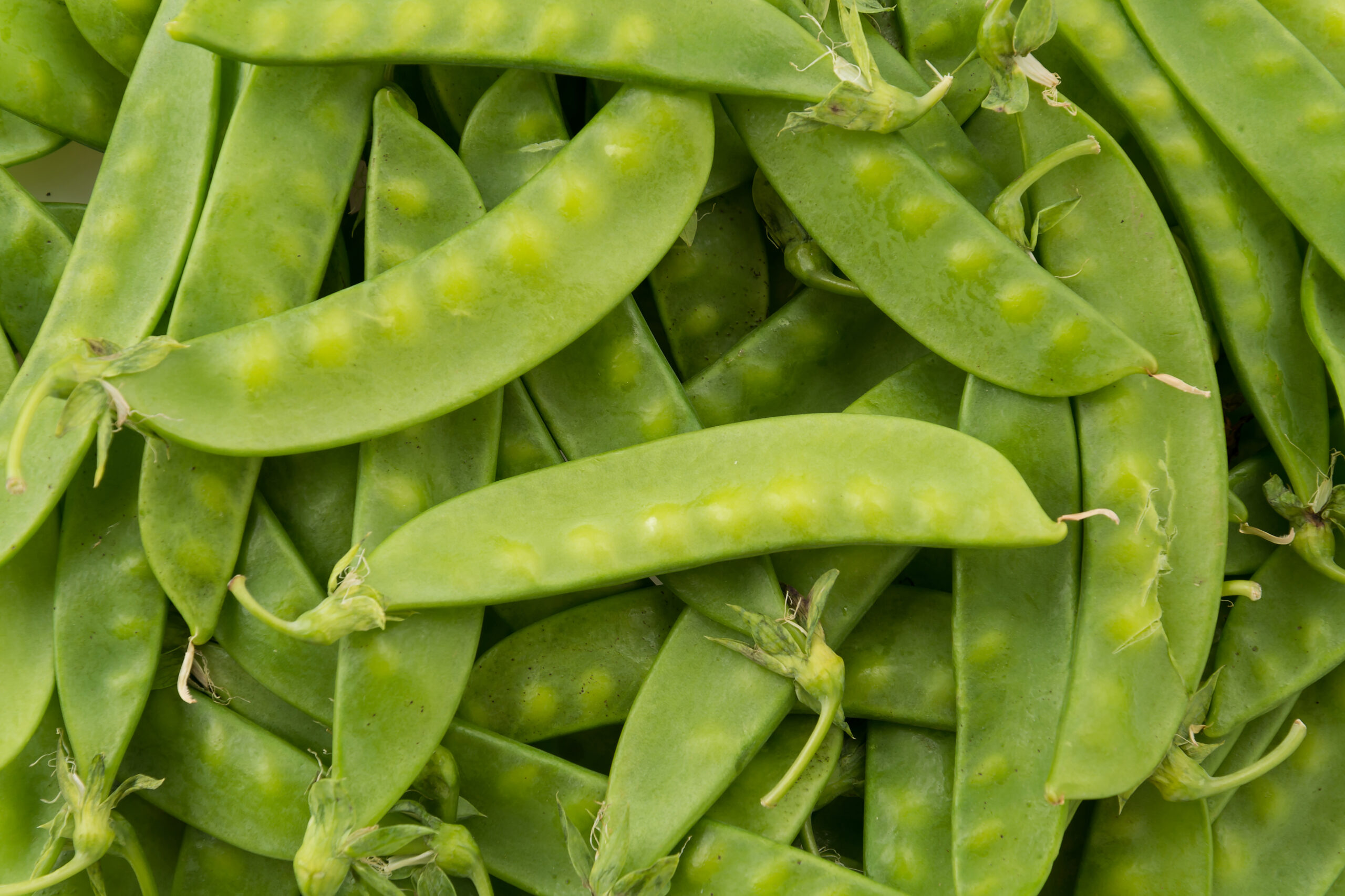 Arkadia Foodstore - Peas